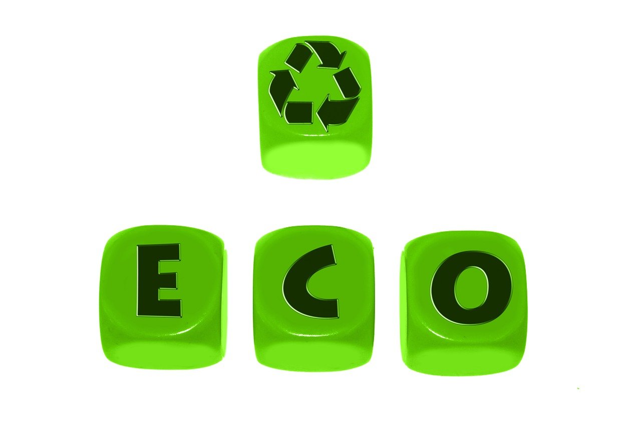 Top 40 Eco-Friendly & Sustainable Products in 2025 | DGBoom